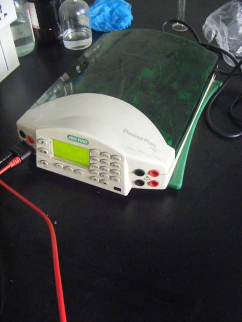 生物化学-重点实验室